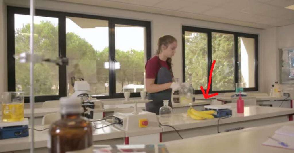 ¿Creerías Que De Una Cáscara De Plátano Se Puede Hacer Plástico O Más ...