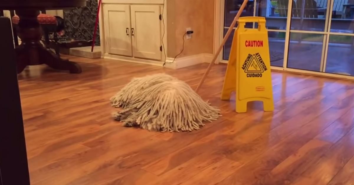 Observa Atentamente La Imagen Porque Te Llevarás Una Simpática Sorpresa ...