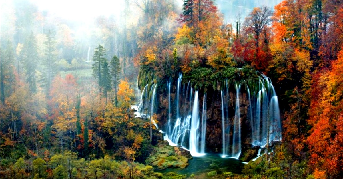 Conoce Los 13 Bosques Más Hermosos Del Mundo Según National Geographic ...