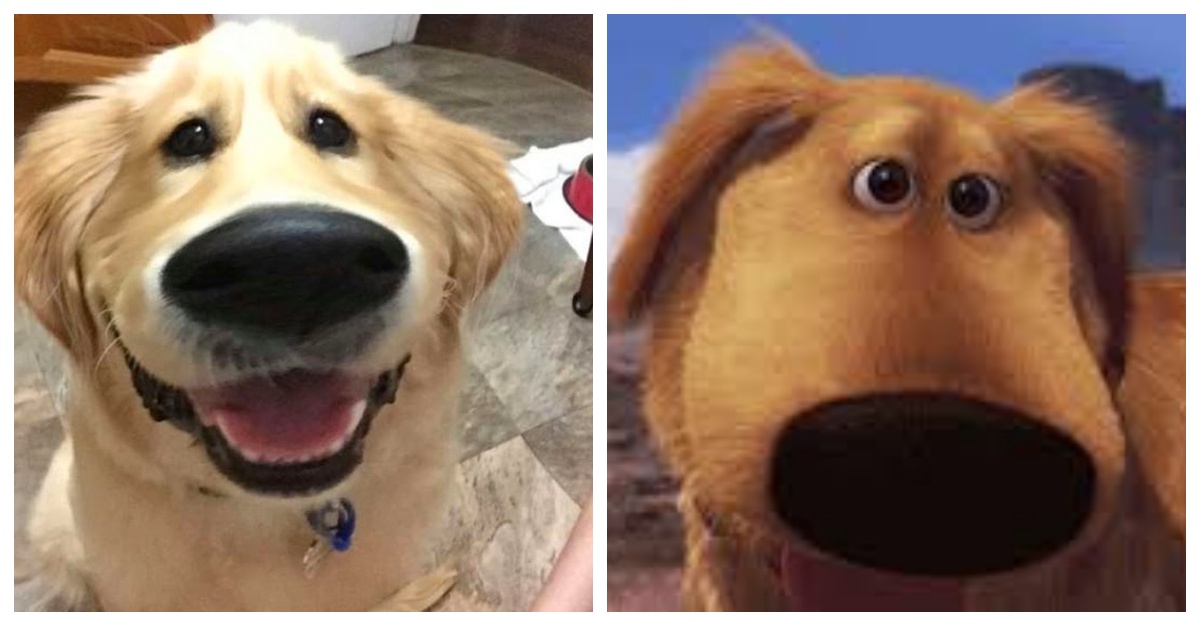 Filtro De Snapchat Convierte A Tu Perro En El Adorable "Dug" De Up | Tronya