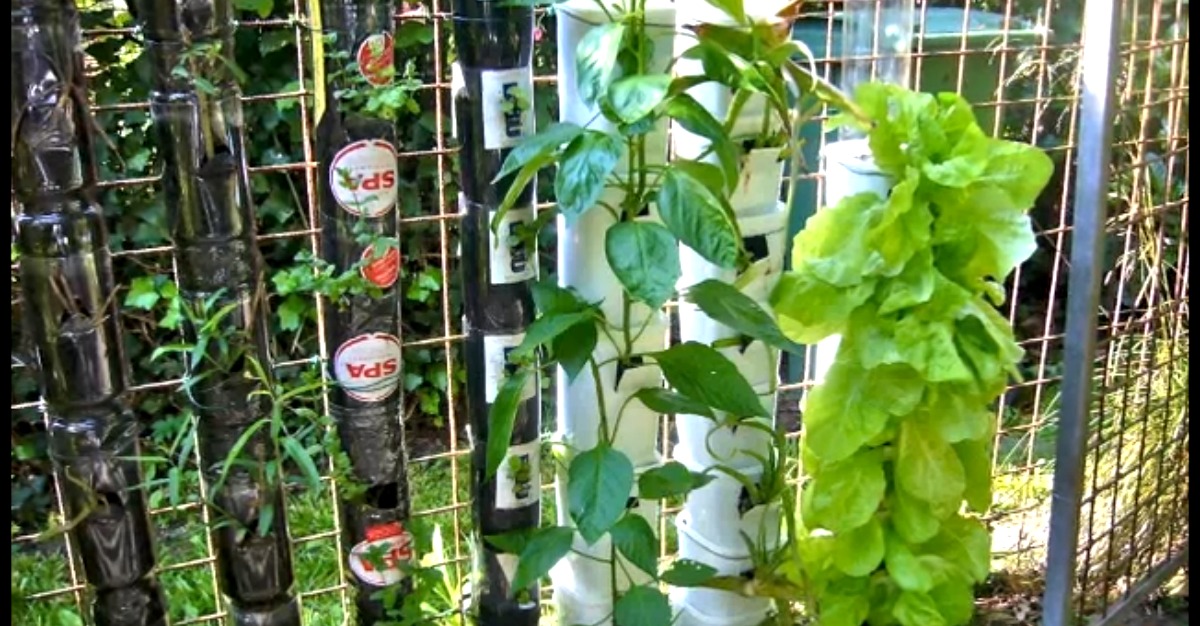 Construye Esta Hermosa Huerta Vertical Y Tu Jardín Lucirá Como Nunca ...