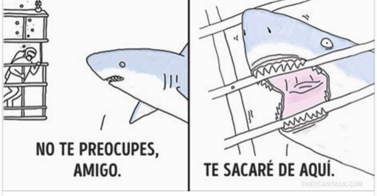 Estos 15 Comics De Animales Darán Vuelta Tu Manera De Pensar ¡Qué ...