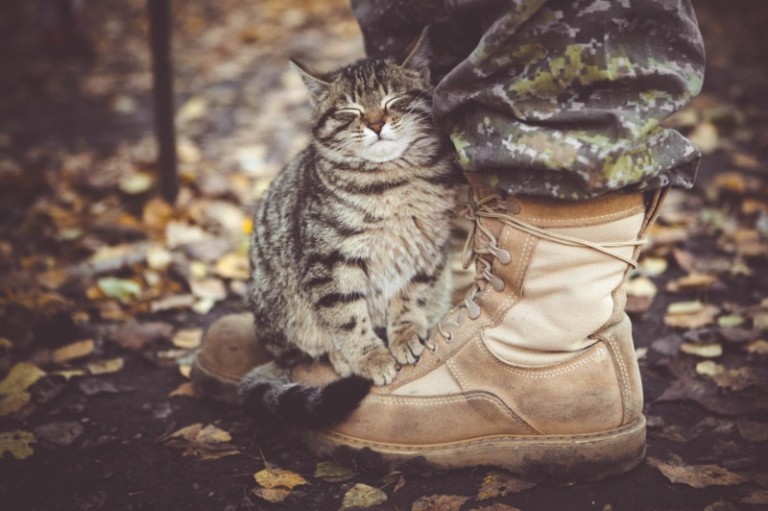 15 Fotos Tan Tiernas Que No Podrás Evitar Suspirar De Emoción | Tronya