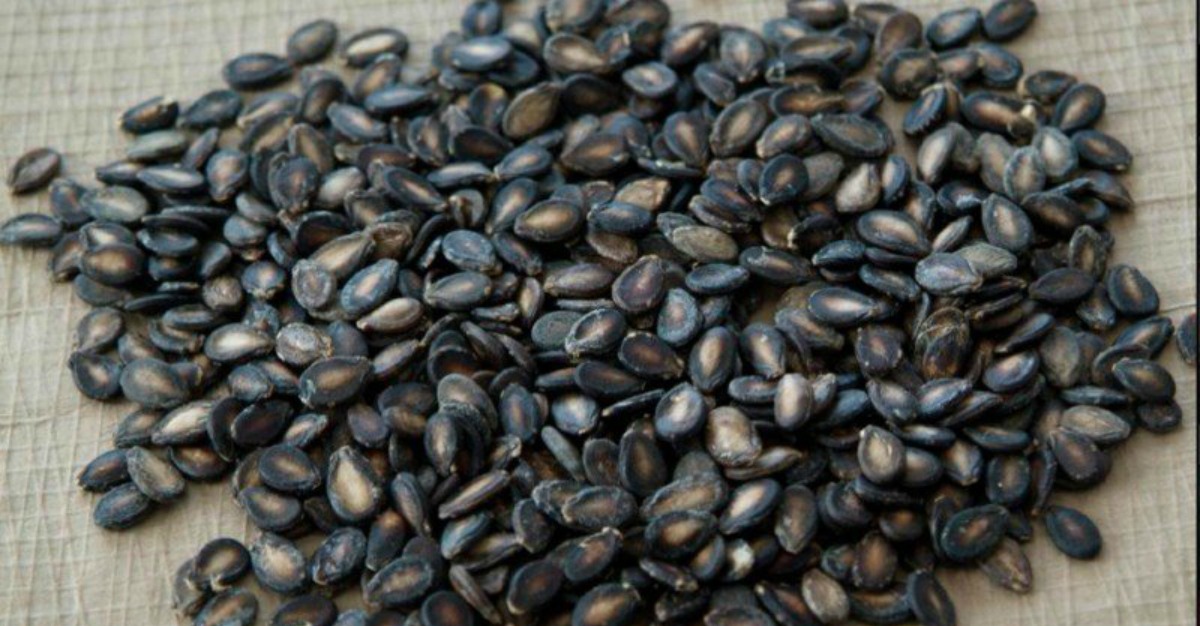 Te Sorprenderá Lo Que Las Semillas De Sandia Pueden Hacer A Tu Cuerpo ...