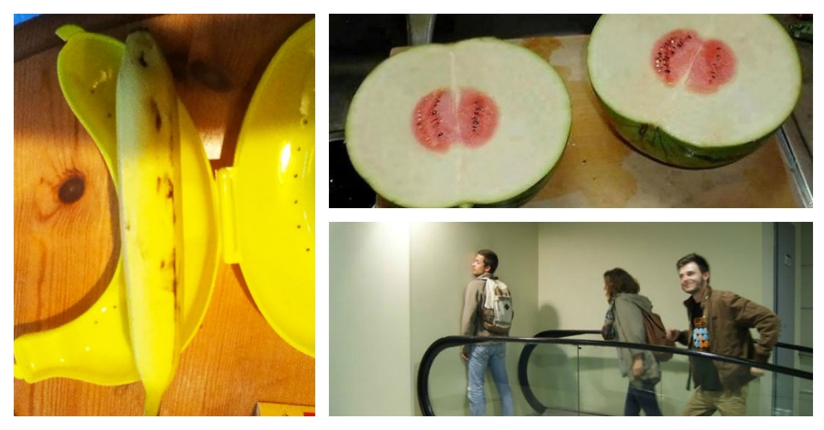 22 De Las Cosas Más Inútiles Que Han Existido En La Historia | Tronya