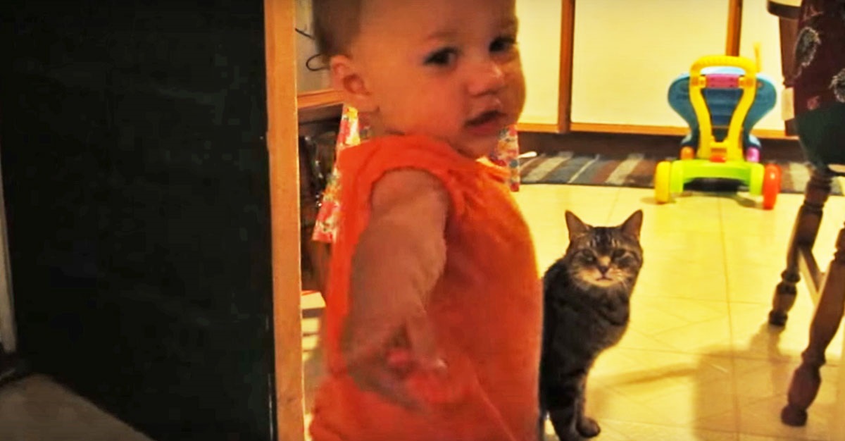 Este Papá Graba La Rutina Diaria De Su Hija Y El Gato, Y Es ... Este Papá Graba La Rutina Diaria De Su Hija Y El Gato, Y Es ...