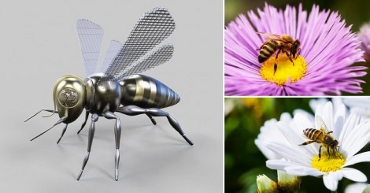 Crean Las Primeras Abejas Robóticas Capaces De Polinizar | Tronya