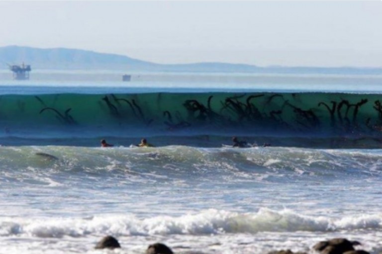 17 Imágenes Que Te Dejarán Muy Claro Qué Es La Talasofobia | Tronya