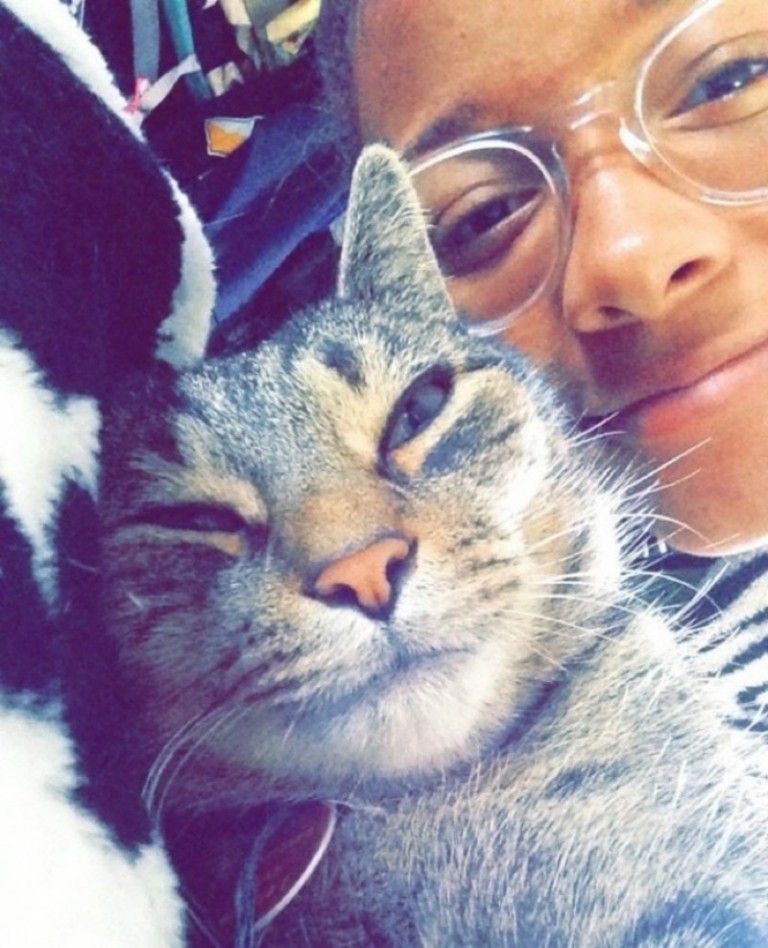 Este Gato Robando Un Rollo De Canela Ha Revolucionado Las Redes ...